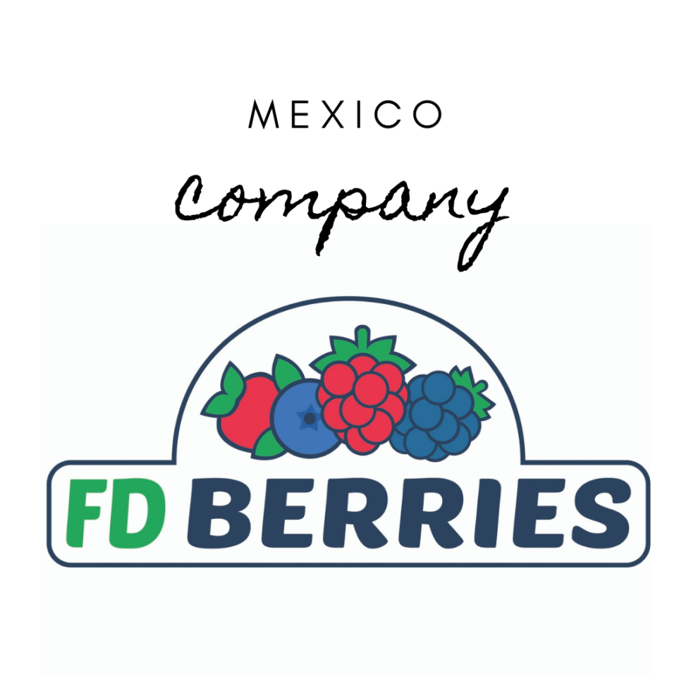 Fibredust manufacturers of quality coco coir products